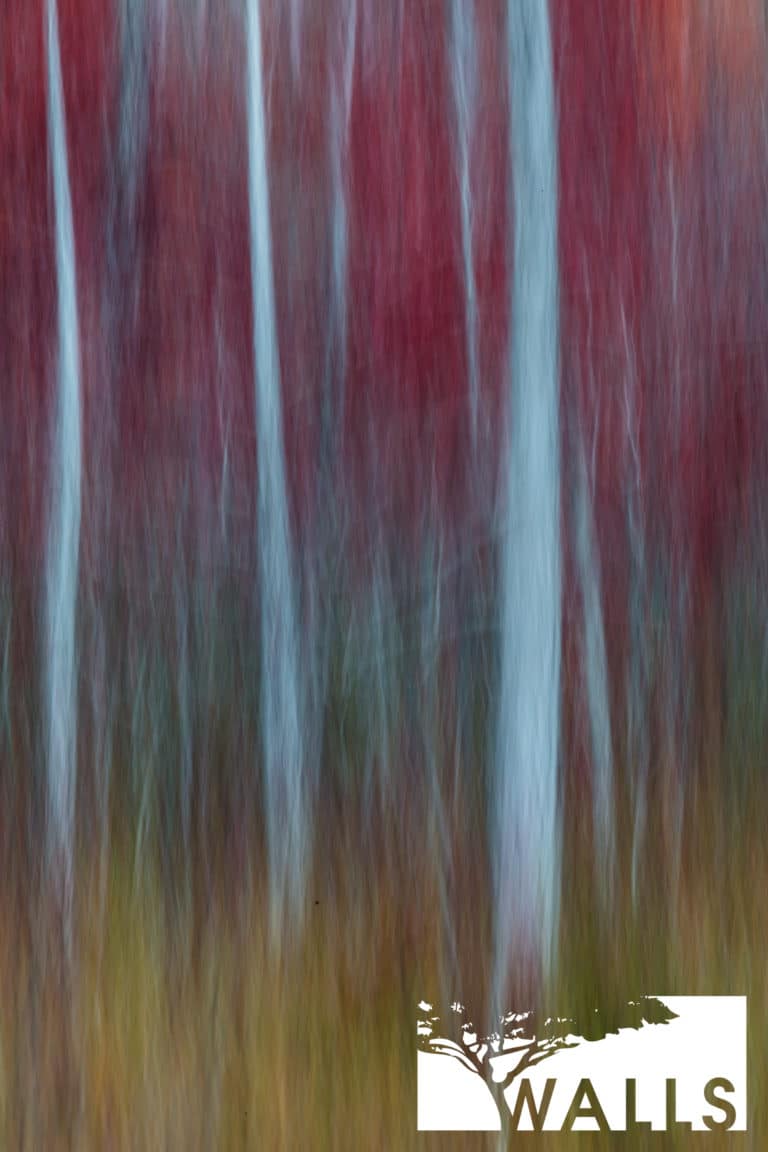 Benjamin Walls Frontier Edition Fine Art Photography